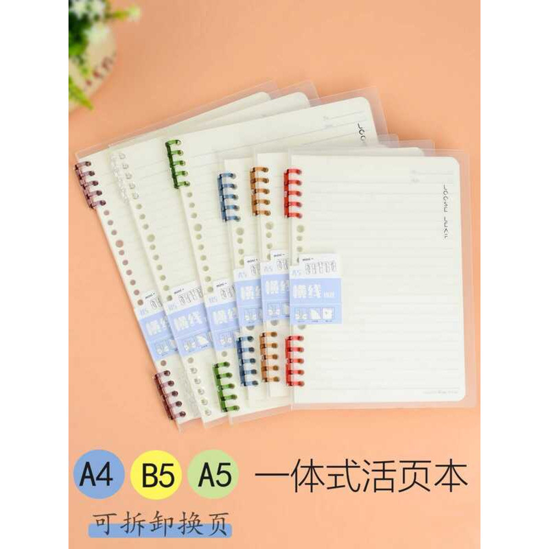 Horn Joy Color 10-hole Non-irritating Hand Student Notes Record Book ...