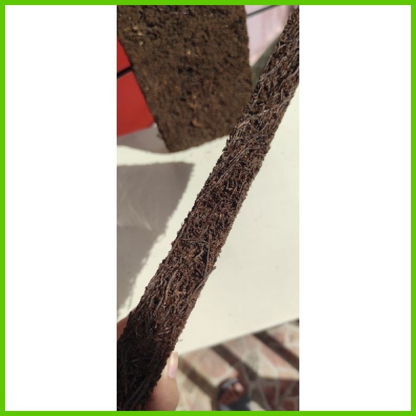 ☑ Fern Slab for Orchids and Plants | Shopee Philippines