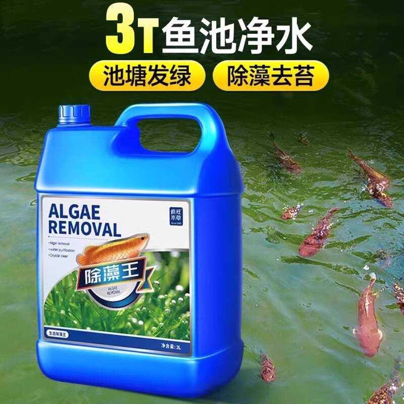 for Fish Tanks Ponds, and Moss Remover, Green Moss, Brown Algae, Black ...
