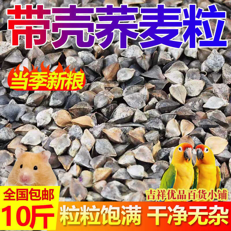 50kg with Husk Triangular Buckwheat 5kg Pigeon Hamster Parrot Bird Food ...