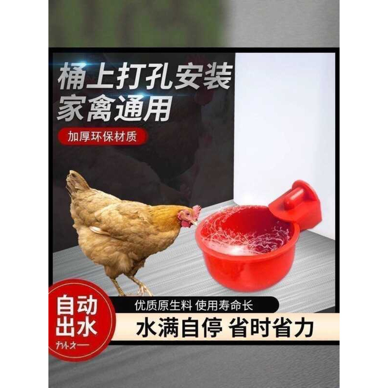 Poutry, New Mode Water Botte Pigeons Chickens, Automatic Device for ...