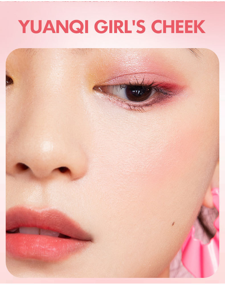 4-Color Blush Palette | Soft Matte Pink Tones | Natural Look for ...