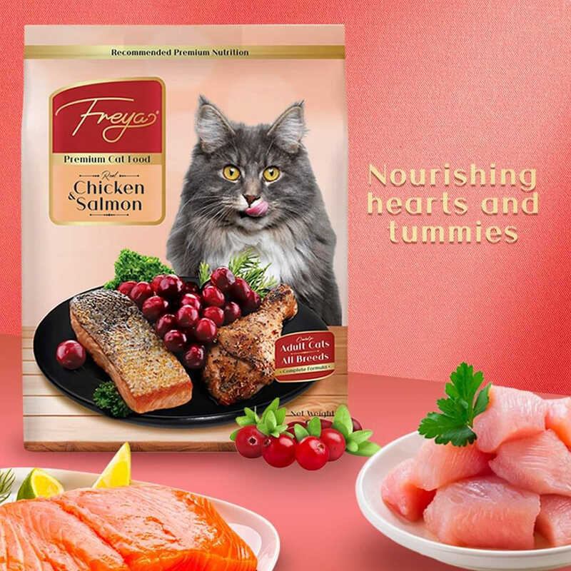 Freya Premium Cat Food 1Kg - Chicken & Salmon All Life Stages Breeds ...