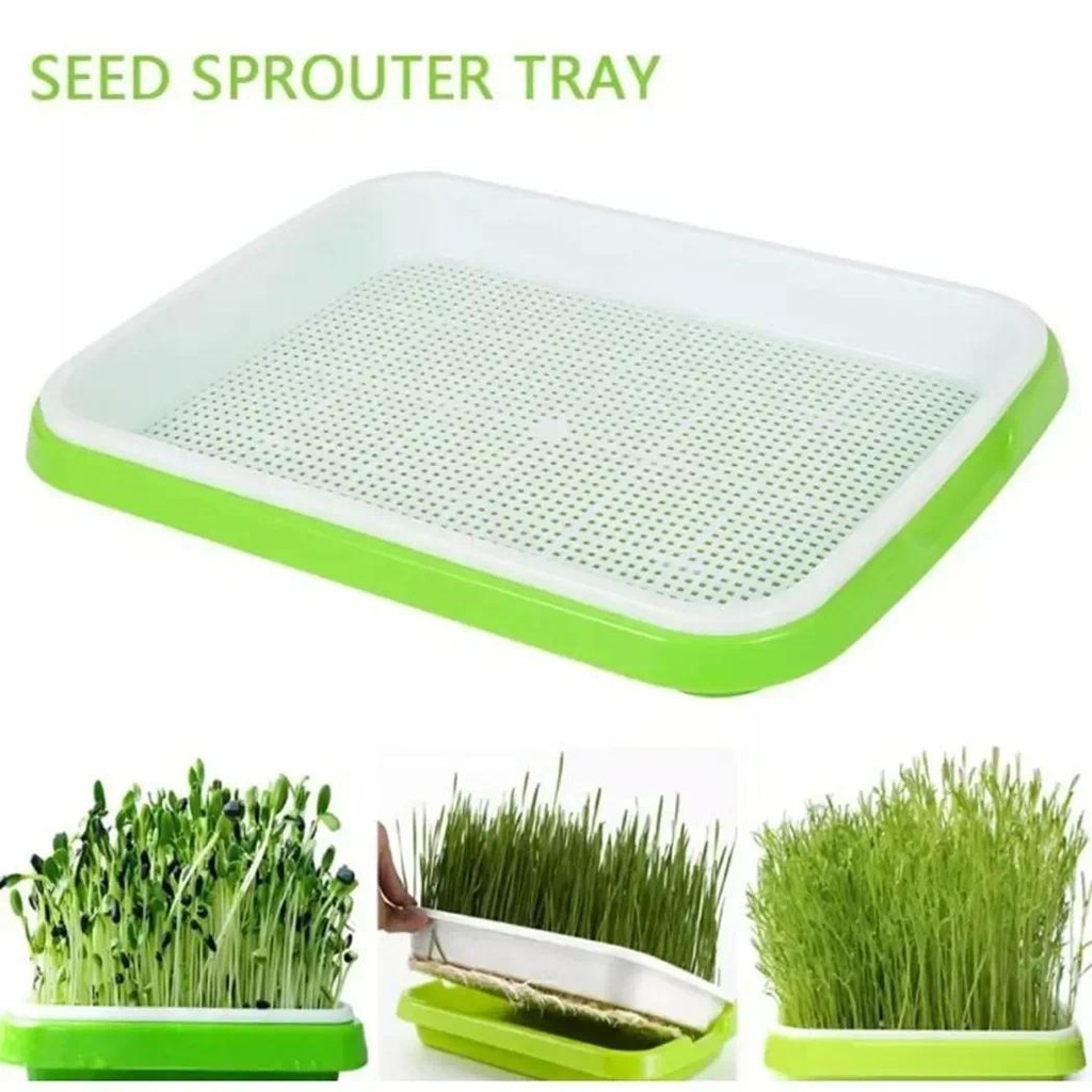 Microgreens Sprouting Tray Hydroponic Sprouting Tray Set For Sprout ...