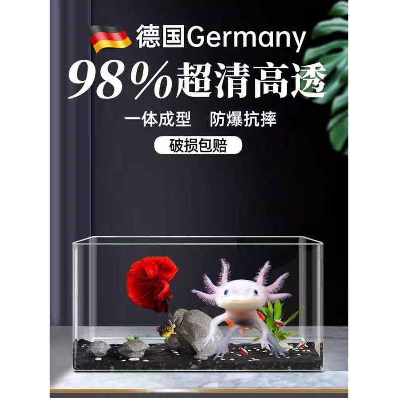 German Hexagonal Dinosaur Special Heat-Bending Glass Fish Rectangular ...