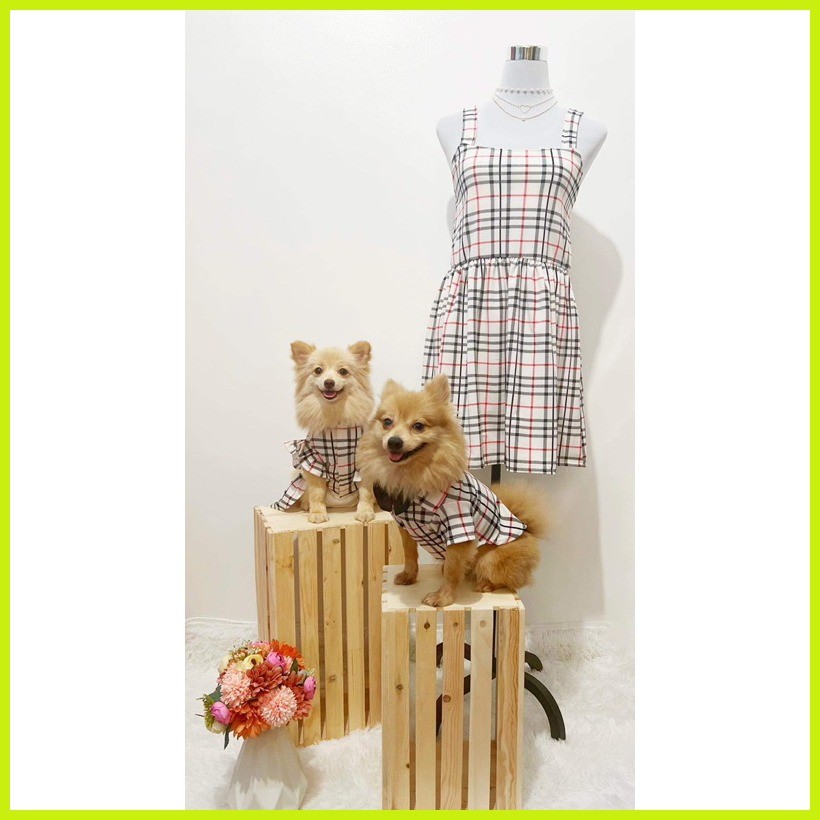 Pet and Owner Twinning Burberry Ins Pet Polo Pet Dress for Dogs Cats ...