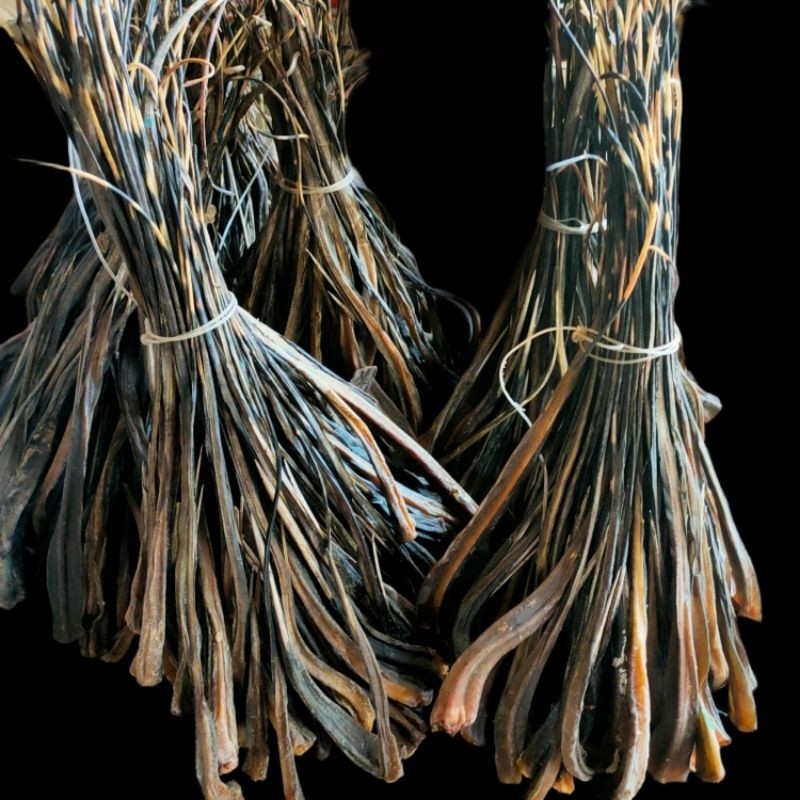 Buntot Pagi 1Pc only Authentic | Shopee Philippines