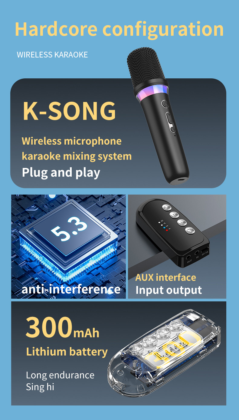 DS-K2 Wireless Dynamic Microphones - Karaoke with Bluetooth 5.3, RGB Light & DSP Mixer System ...