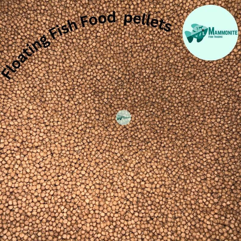 Fish Floating Pellets Food 100Grams Fc7 | Shopee Philippines