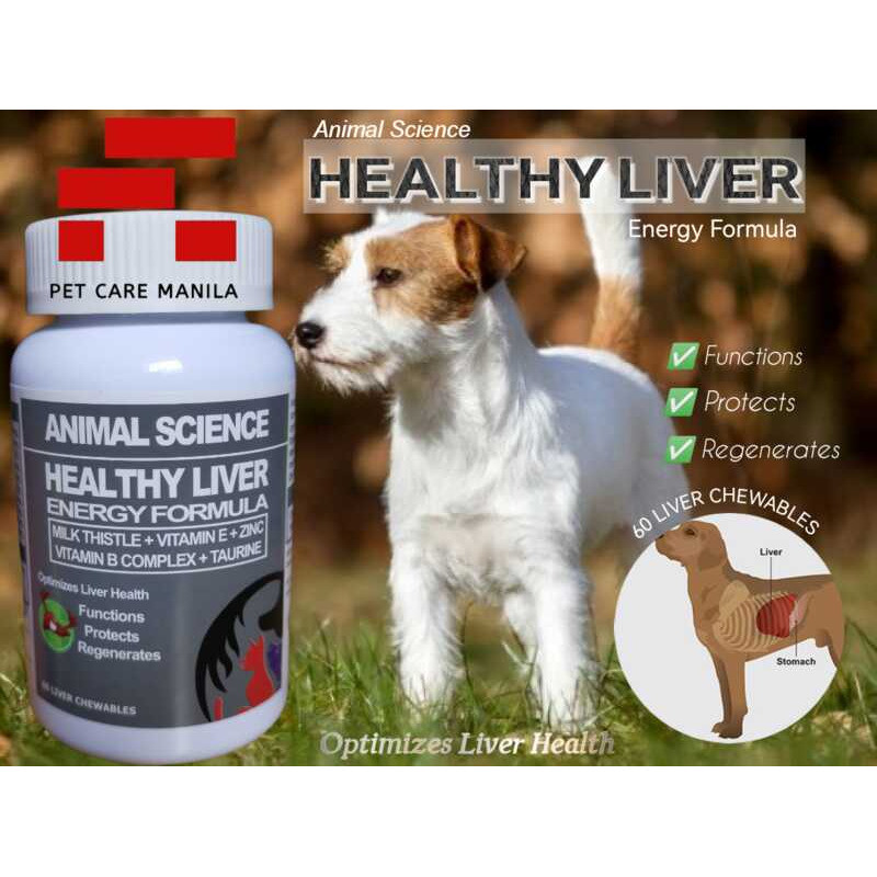 Animal Science HEALTHY LIVER Energy Formula, 60 Liver Chewable Tablets ...