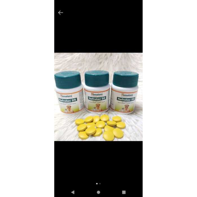 Himalaya Nefrotec Ds Urinary Antiseptic , Antilithic,Diuretic 60 ...
