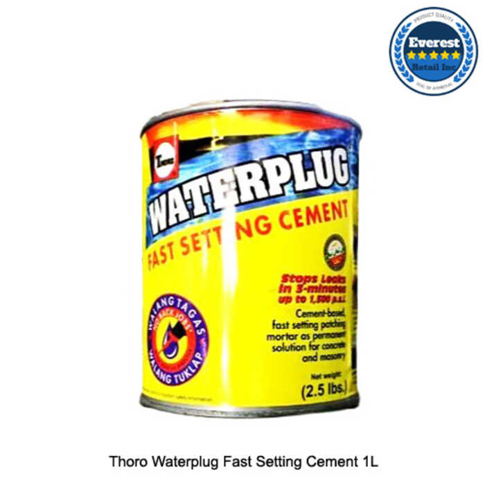 Thoro Waterplug Fast Setting Cement 1L 7B6 | Shopee Philippines