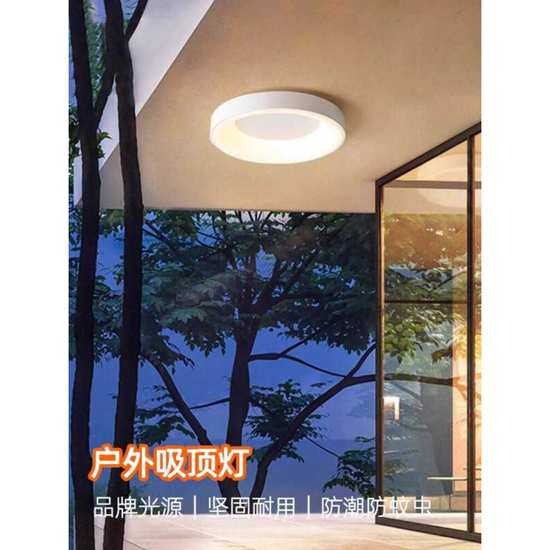 ∷ Ceiling 2025 New Eaves Villa Entrance Door Hall Outdoor Balcony Light ...