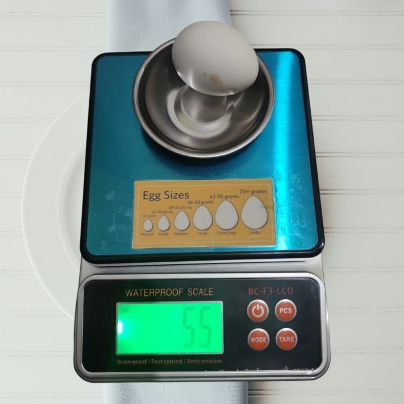 EGG scale digital scale with kitchen scale dual function rechargeable ...