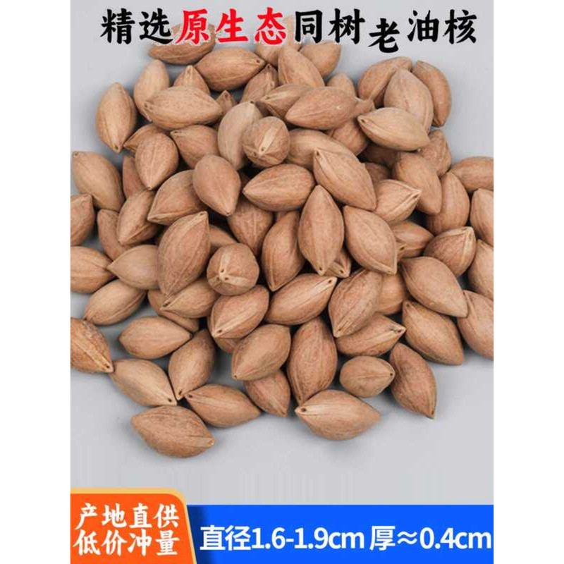 Professional Olive Stone Raw Material for Carving, Same Tree Practice ...