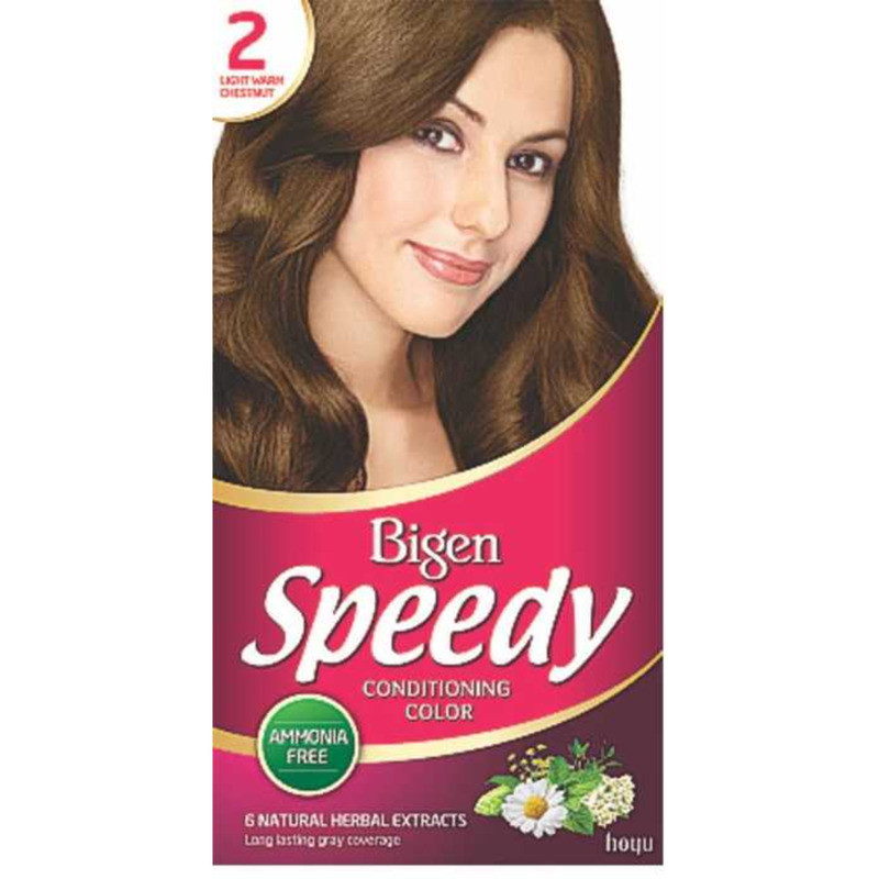BIGEN Speedy Conditioning Colorlight Warm Chestnut 80G | Shopee Philippines
