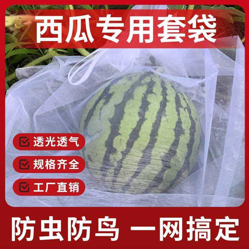 Watermelon Bagging Special Insect-proof Bird-proof Magic Mesh Melon ...