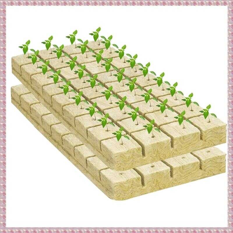 (Wbnc) 50Pcs Stonewool Hydroponic Grow Media Cubes Plant Soilless ...