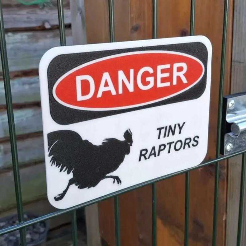 Yy Danger 3D Printed Chicken Hazard Home Farm Garden Decor Tiny Raptors ...