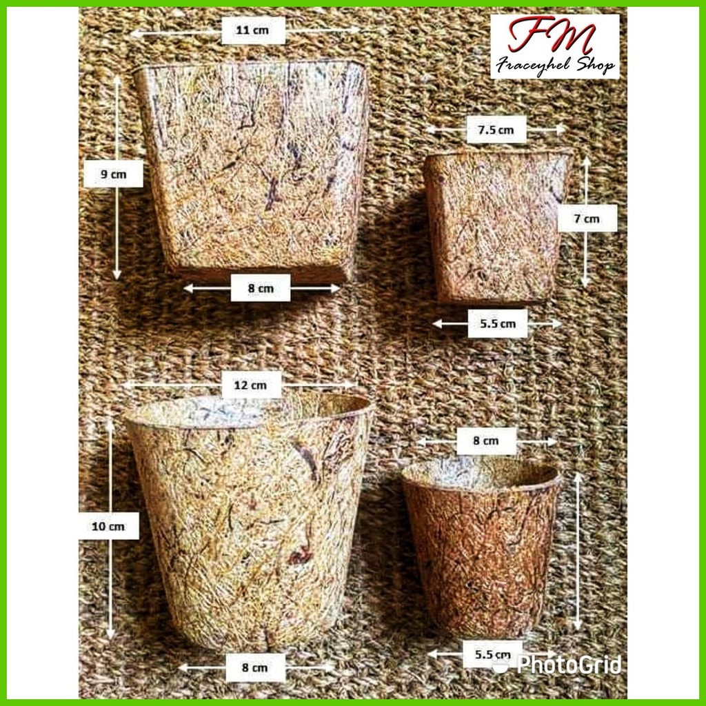 Coco pot - Cheapest Price! Small And Large | Shopee Philippines