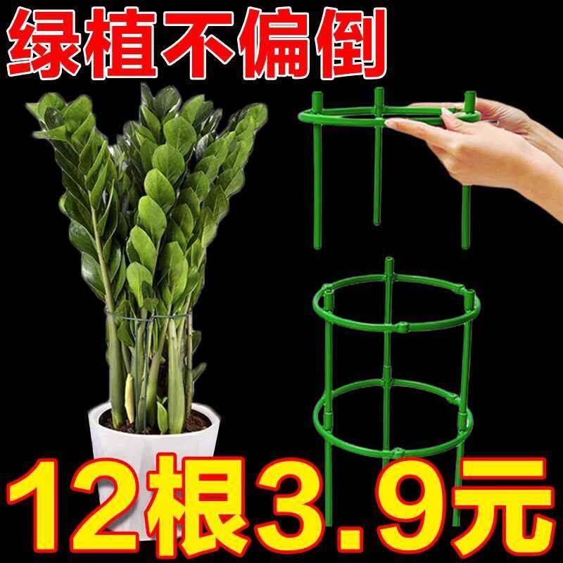 Plant Rod Gardening Flower Stand Climbing Vine Support Indoor Balcony ...