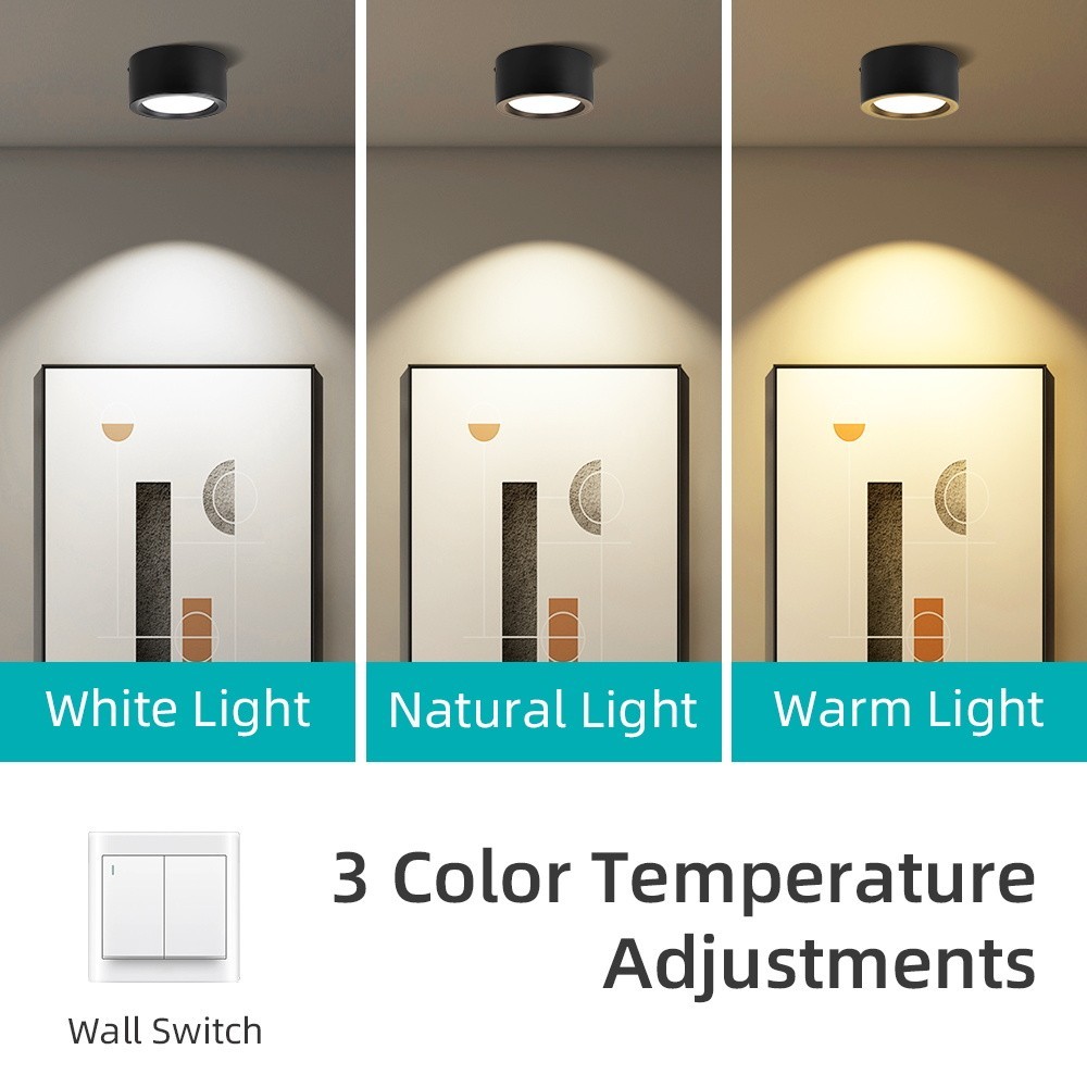 Tri color Downlight Ceiling Light Round 20W Led Ceiling Lamp Pin Lights ...