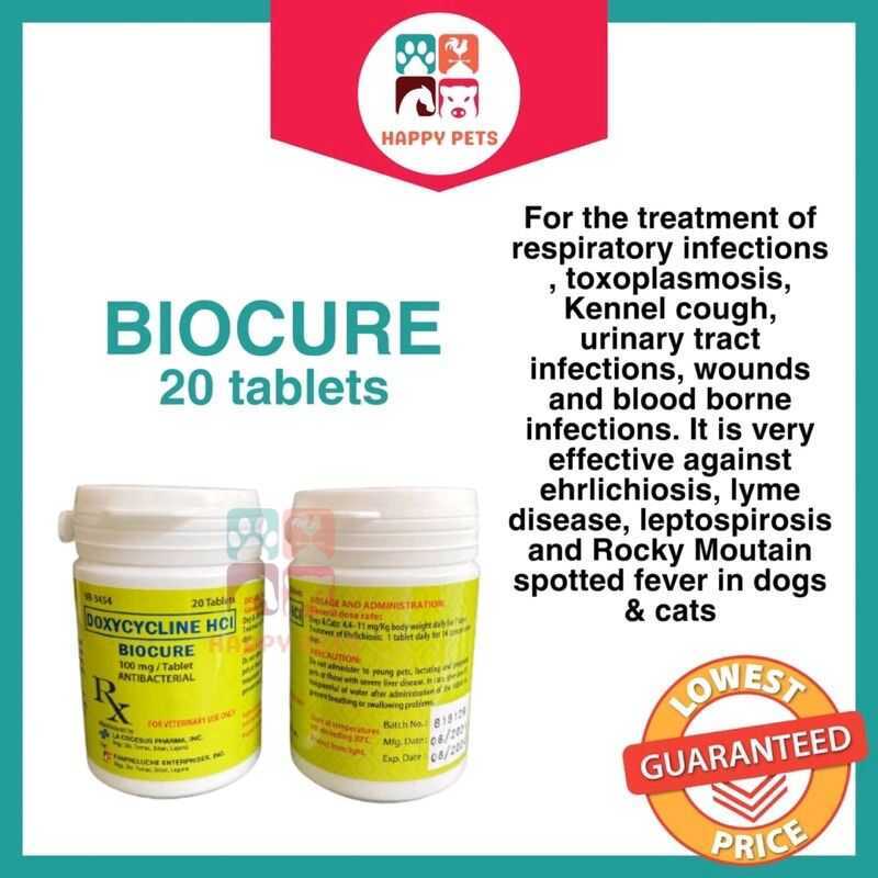 Biocure 20 Tablets Antibacterial | Shopee Philippines