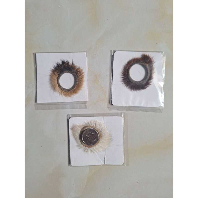 25 Cents Size Pilik Mata Ng Kambing An Authentic Product Goat Eyelash ...