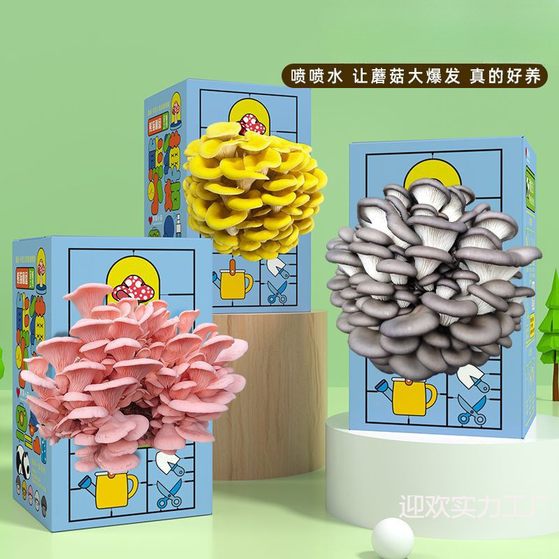 Mushroom Box Gift Set Oyster Mushroom Growing Kit Edible Fungi ...