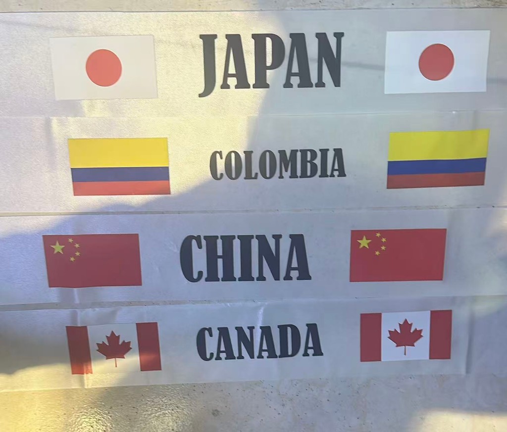 United Nations Sash with Logo UN Sash for United Nations Flag Print ...