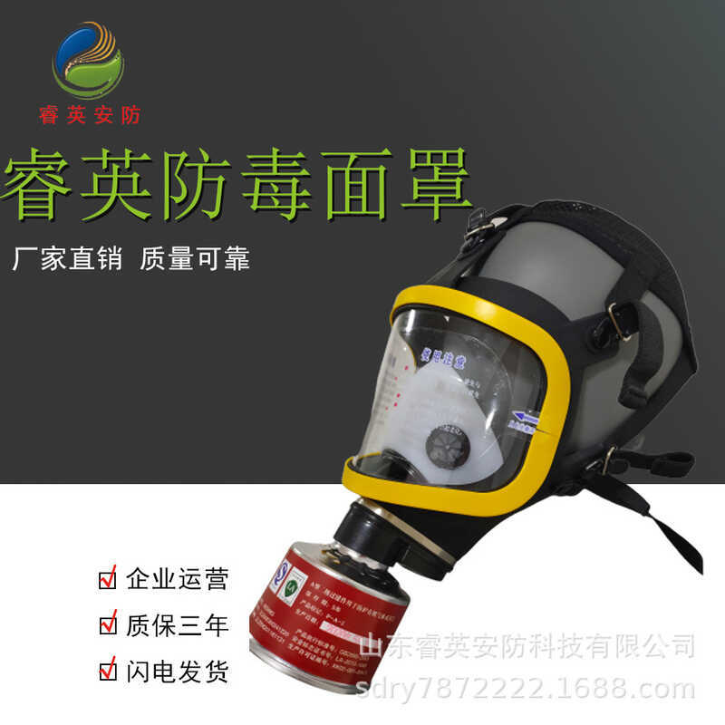 Ruiying Gas Mask Full Mask Self-Absorbent Filter Type Head-Wearing Gas ...