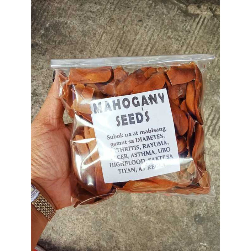 MAHOGANY SEEDS BIG PACK 00B | Shopee Philippines