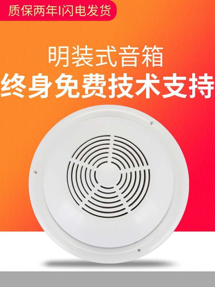 Surface-Mounted Ceiling Bay Fire Broadcast Speaker WY-XD5-5 Ceiling ...