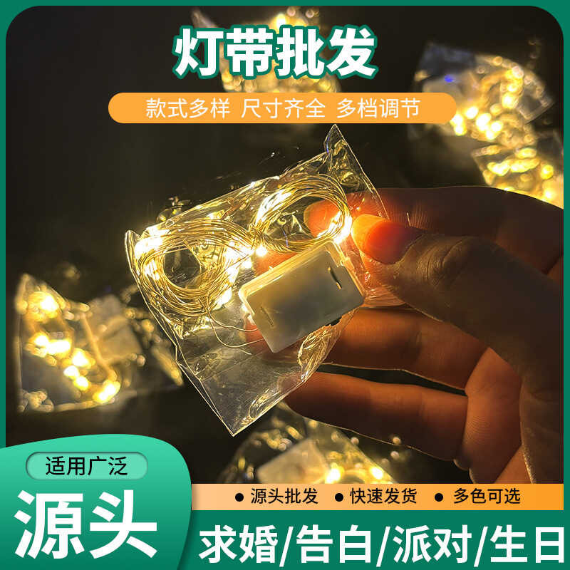 String Lights Small LED Colorful String Lights Copper Wire Lights ...