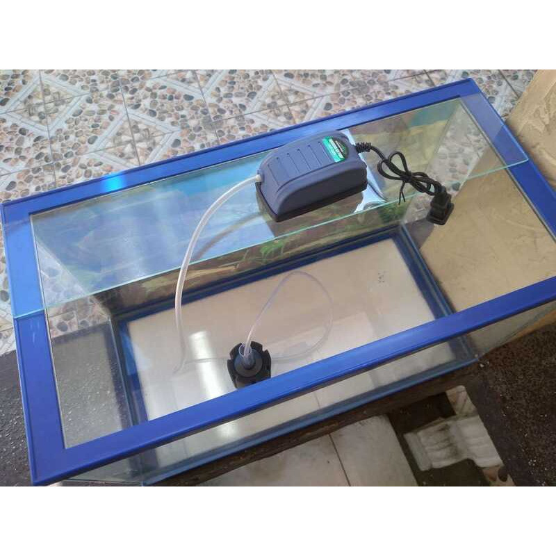 5 Gallon Aquarium With Oxygen And Back View | Shopee Philippines