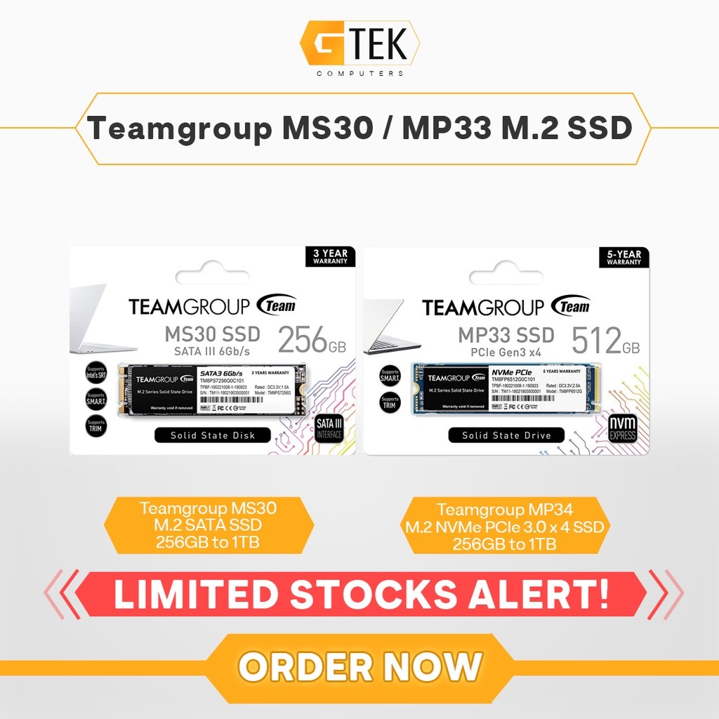 Teamgroup MS30 MP33 256GB 512GB 1TB M.2 2280 SATA3 NVME 1.3 SSD ...