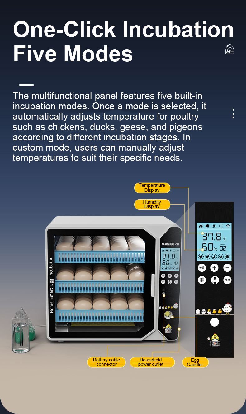 CELOGLO 40/70 Fully automatic intelligent incubator temperature and ...