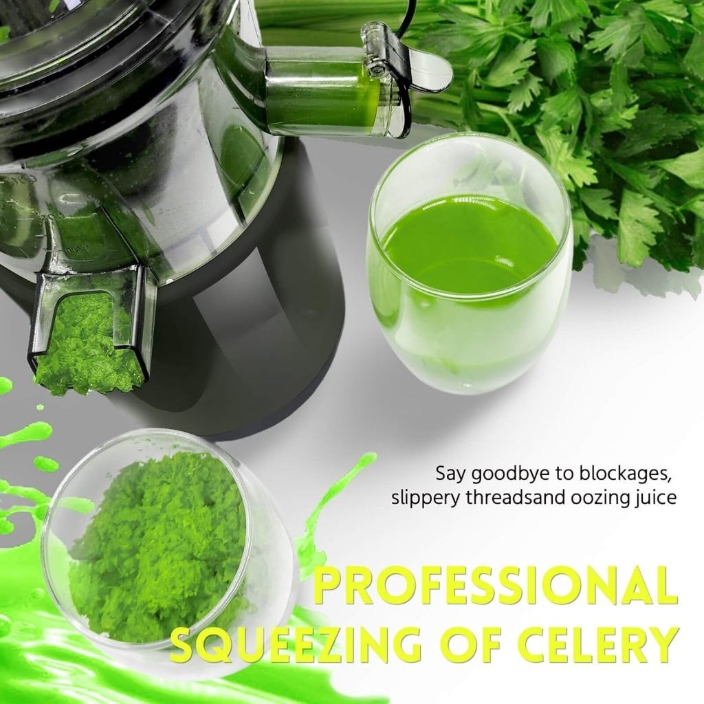 200W High Power Electric Juicer Raw Juice Cold Pressing Silent Juicer ...