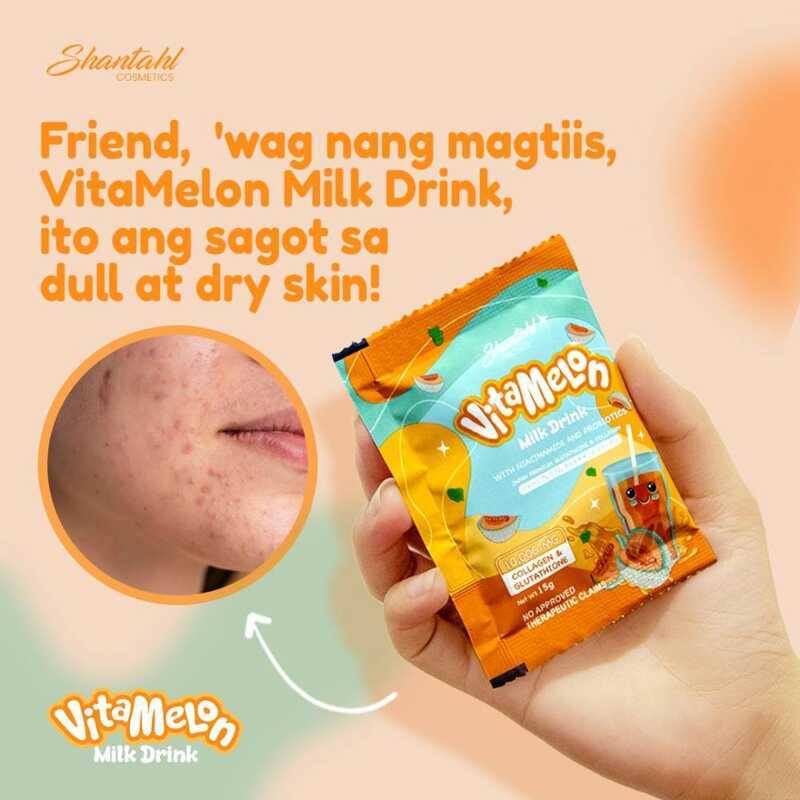Shantahl Vitamelon Vita Melon Milk Drink With Niacinamide And ...