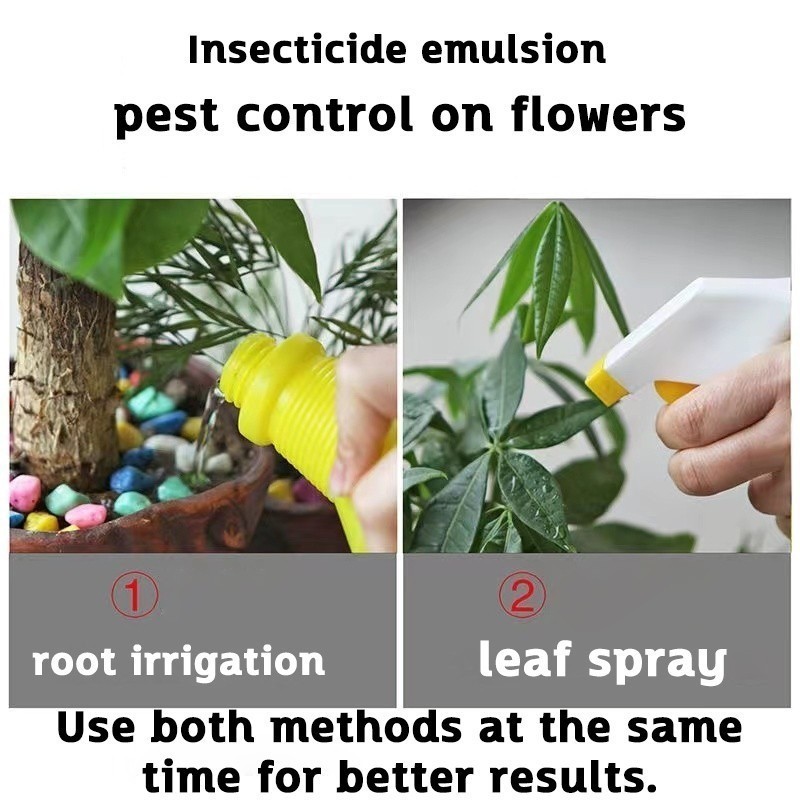 Effective Fly Killer Spray Non-Toxic Indoor 500ml Fast-Acting Insect ...