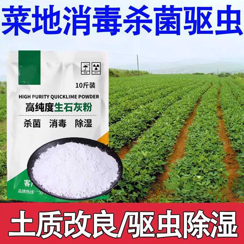 Quick Lime Powder Insecticide Vegetable Cultivation, High Purity ...