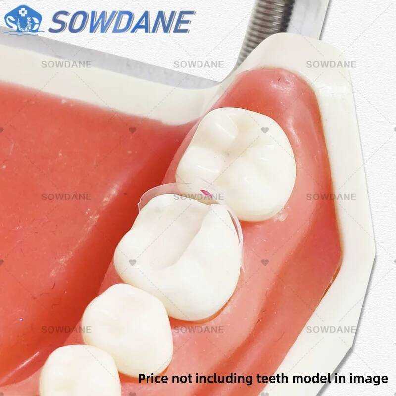 Dental Clear Matrix Anterior Posteriorfit Bioclear BT Transparent ...