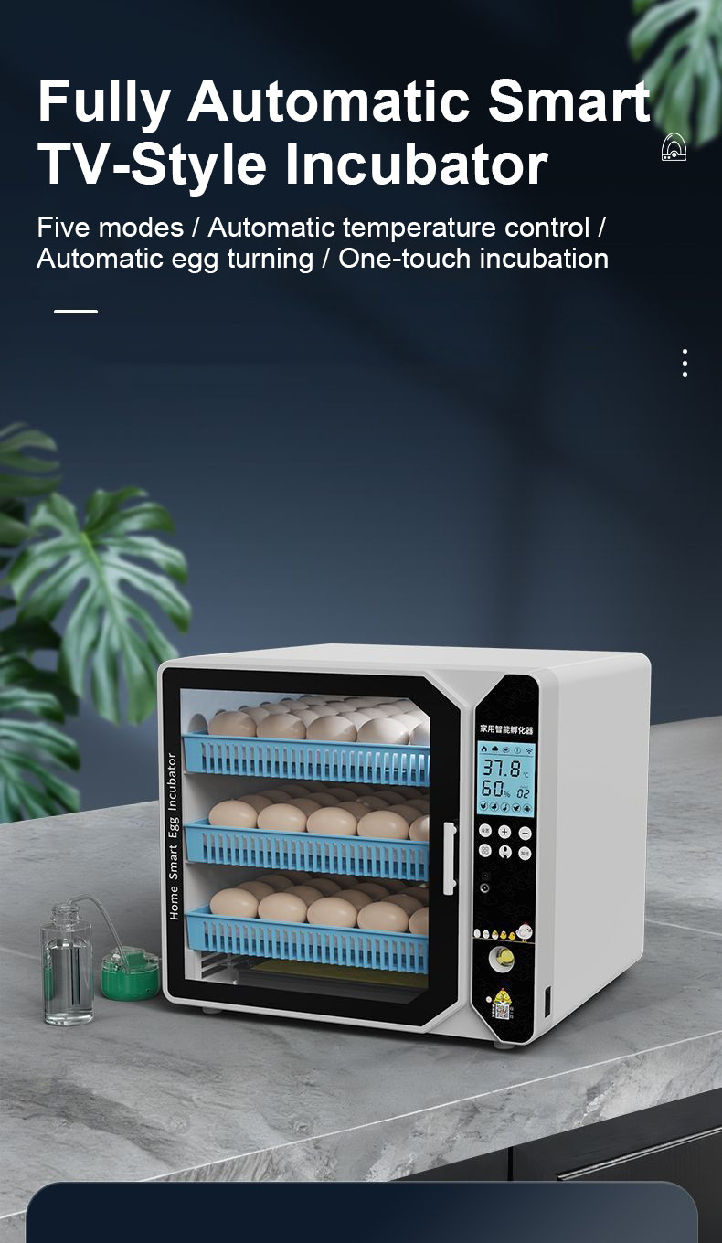 CELOGLO 40/70 Fully automatic intelligent incubator temperature and ...
