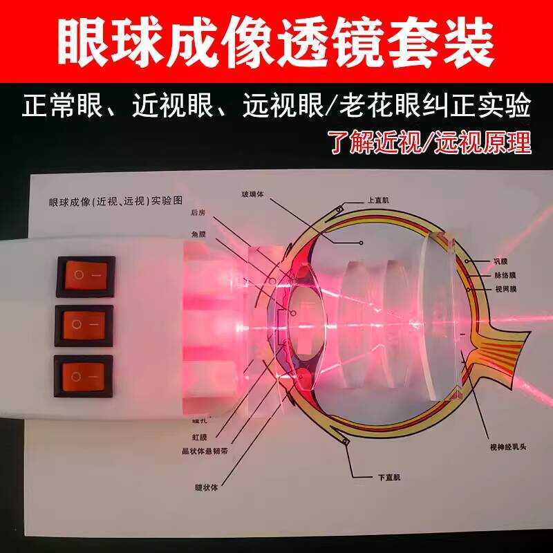 Eyeball Imaging Experiment Model Myopia Formation Correction Hyperopia ...