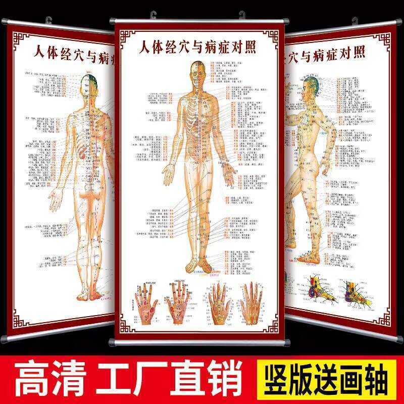 Human Meridian Acupoint Standard Large Wall Chart Full Body High ...