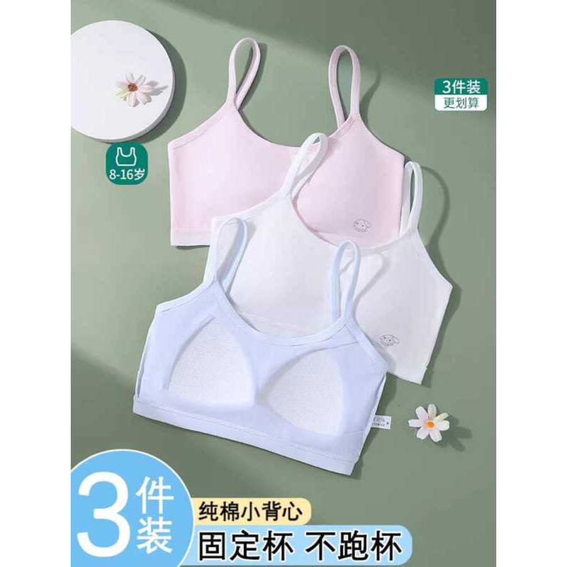 Girls' Underwear Developmental Period Student Junior High School Girls ...