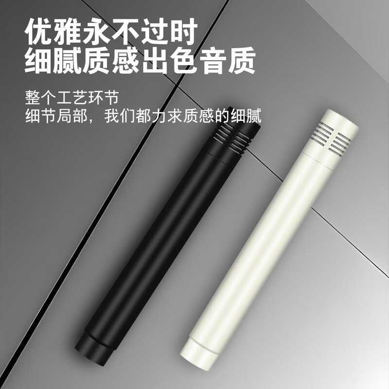 C02 Pen-Shaped Condenser Microphone Microphone Stage Chorus Large ...