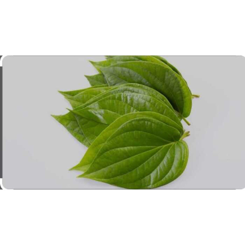 Original!!High Quality!!! Ikmo/ Betel Leaf/ Gawed/ Buyo/ Hapid ...