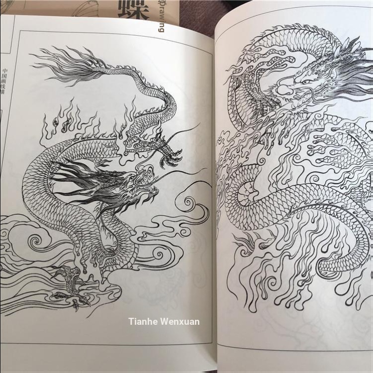 Chinese Line Drawing Hundred Dragons Score Dragon Painting Book Fine ...