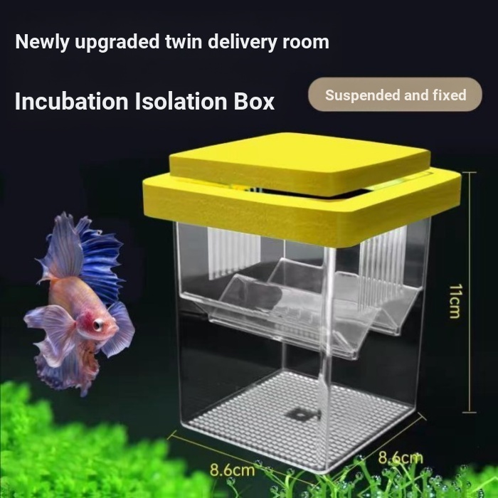 Ornamental Fish Incubator Box Suspended Isolation Box Breeding ...